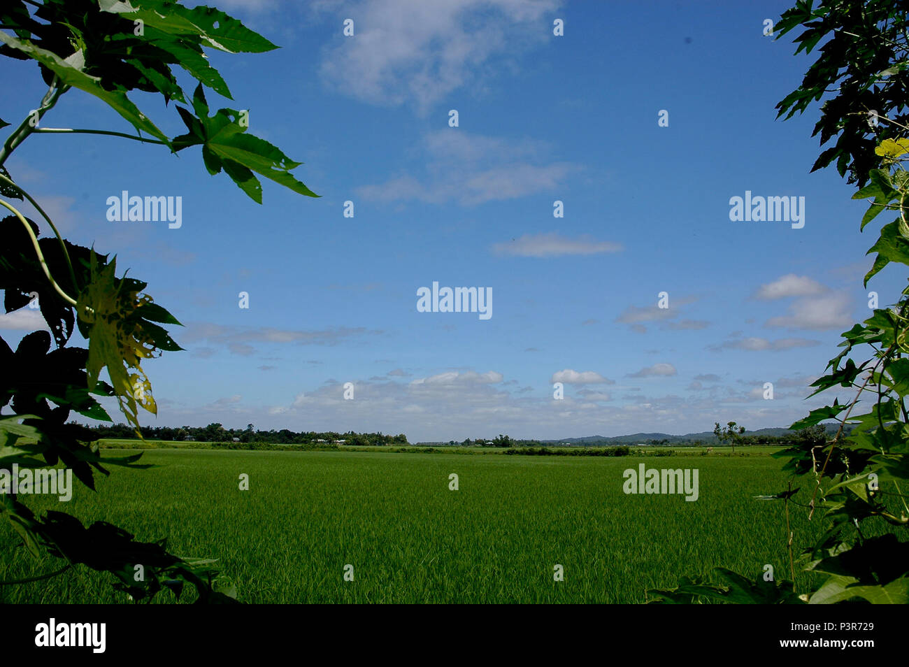 Jamalpur hi-res stock photography and images - Alamy