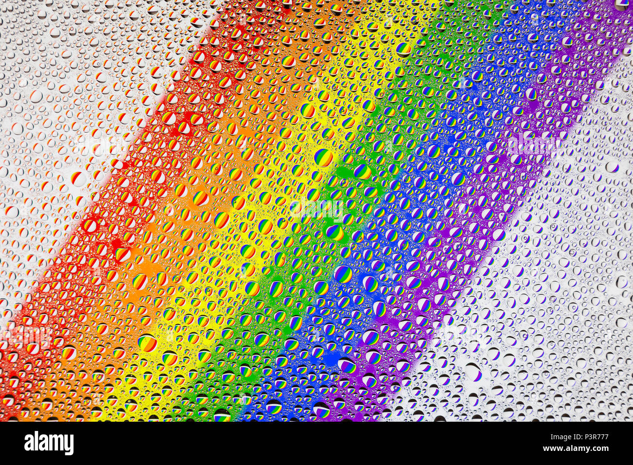 Close up of a water drops on a multicolored rainbow gradient background ...