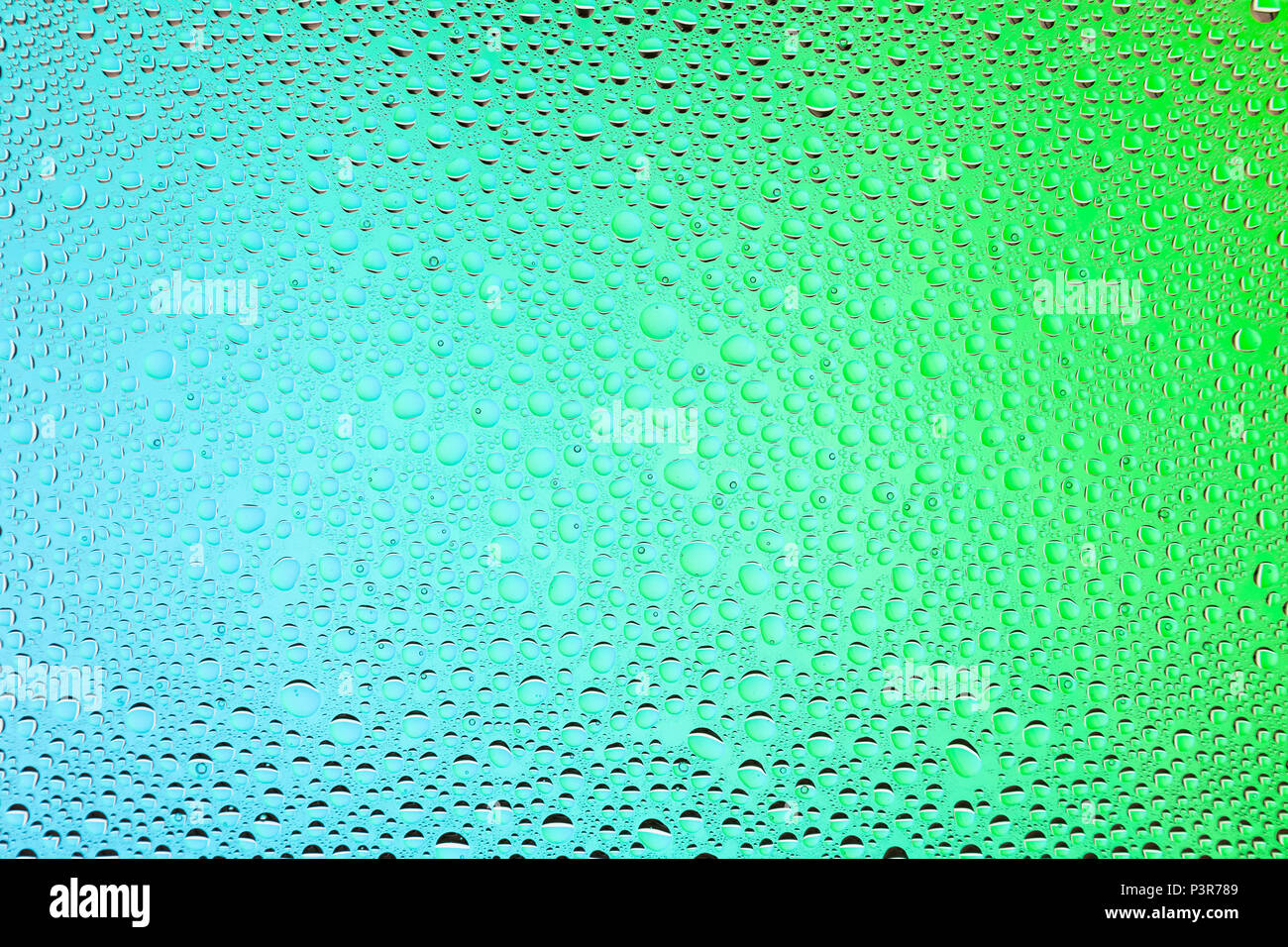 Close up of a water drops on a green and blue gradient background ...