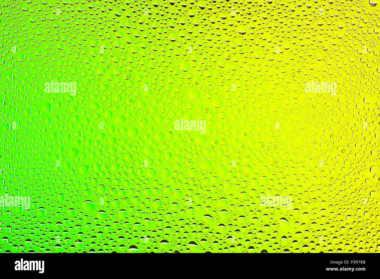Close up of a water drops on a green and blue gradient background ...