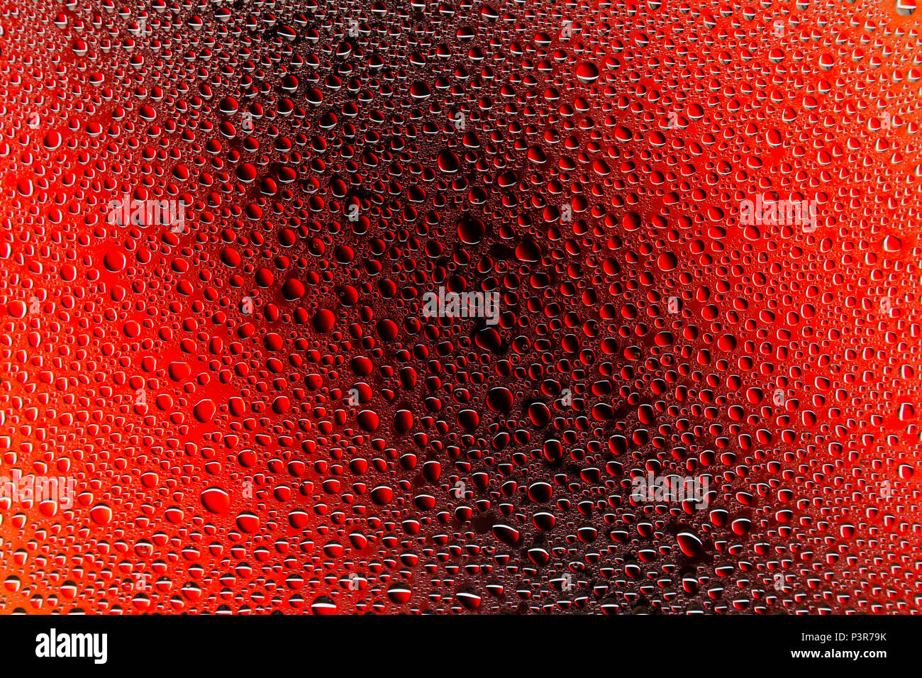 Close up of a water drops on a red and black gradient background ...