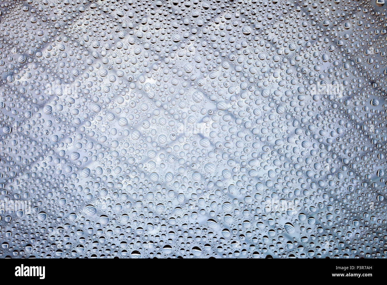 Close up of a water drops on a on a white tile background, covered with ...
