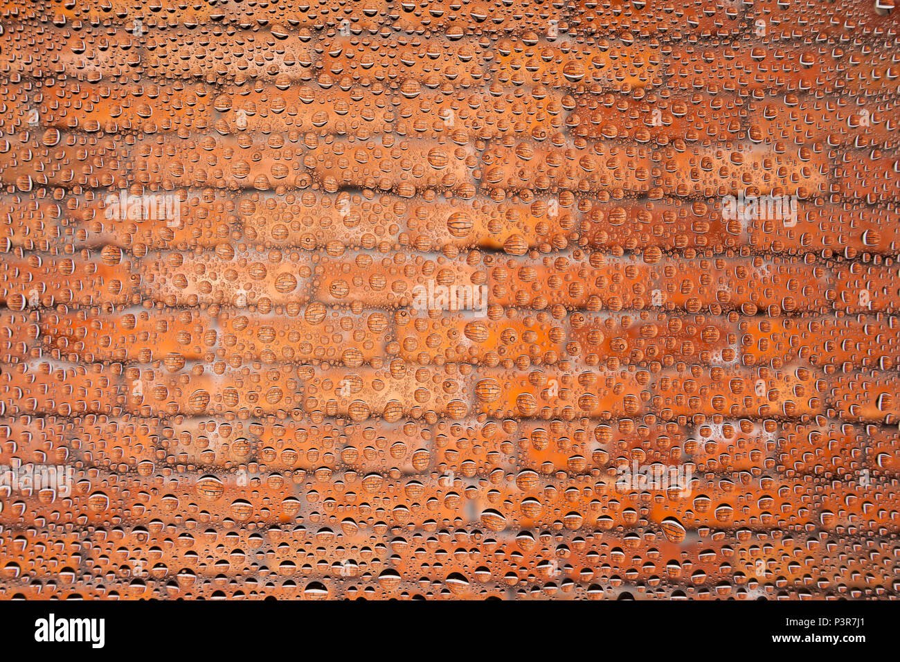 Close up of a water drops on a red old brick background, covered with ...