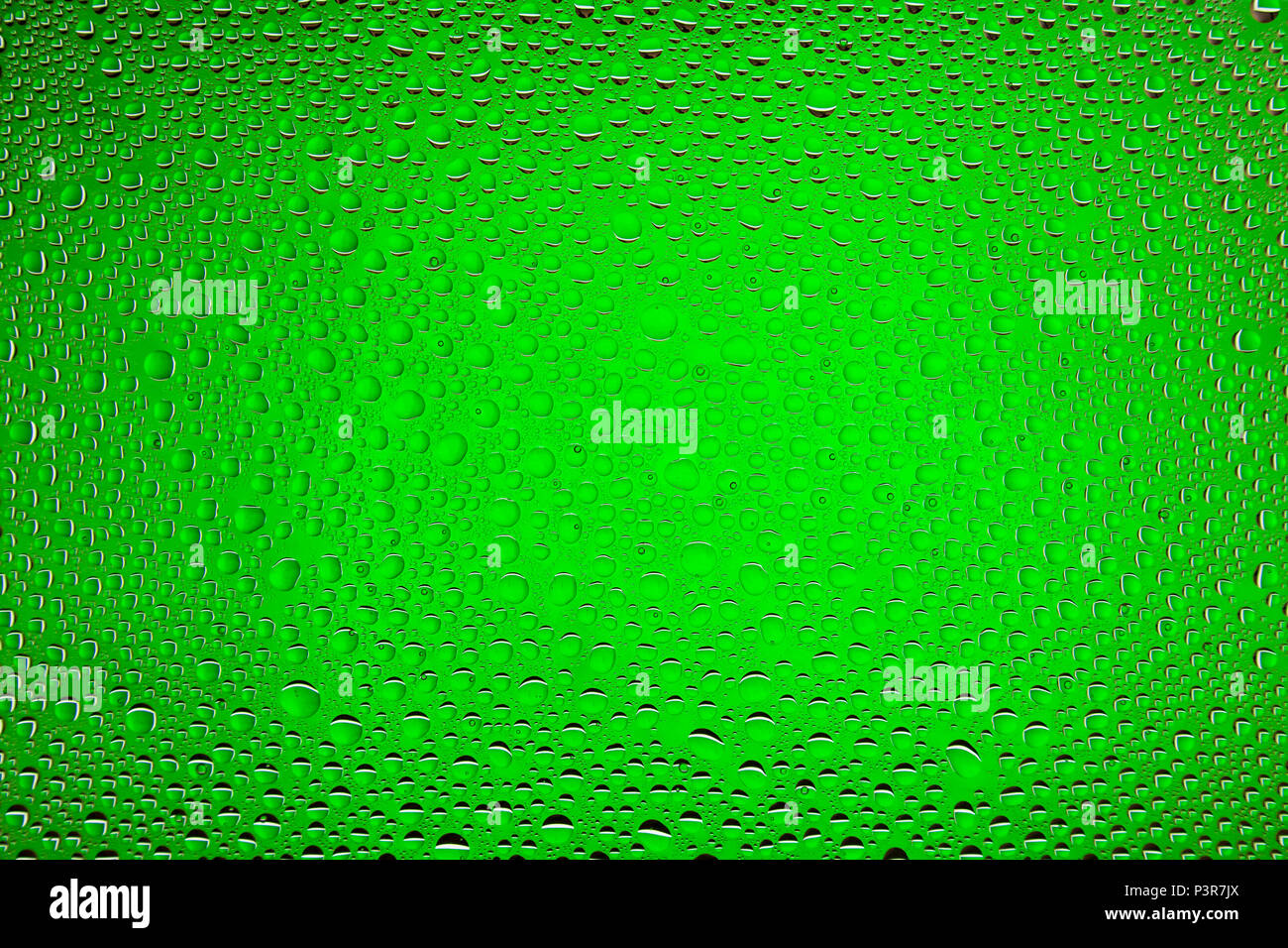 Close up of a water drops on a green gradient background, covered with ...
