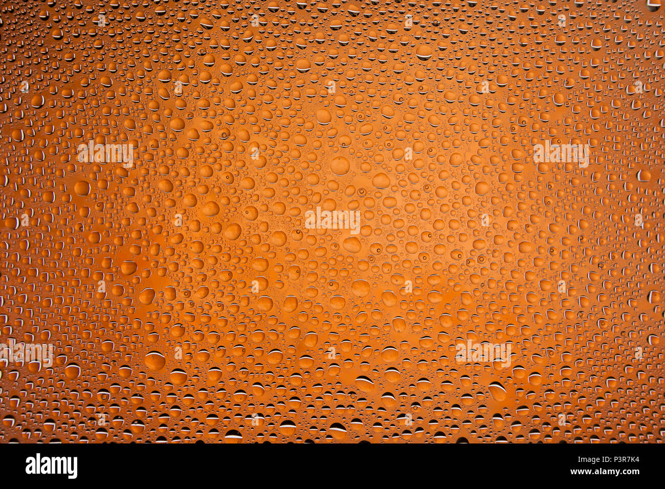 Close up of a water drops on a orange gradient background, covered with ...