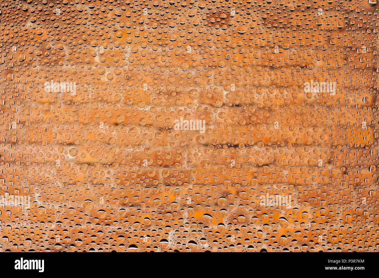 Close up of a water drops on a red old brick background, covered with ...