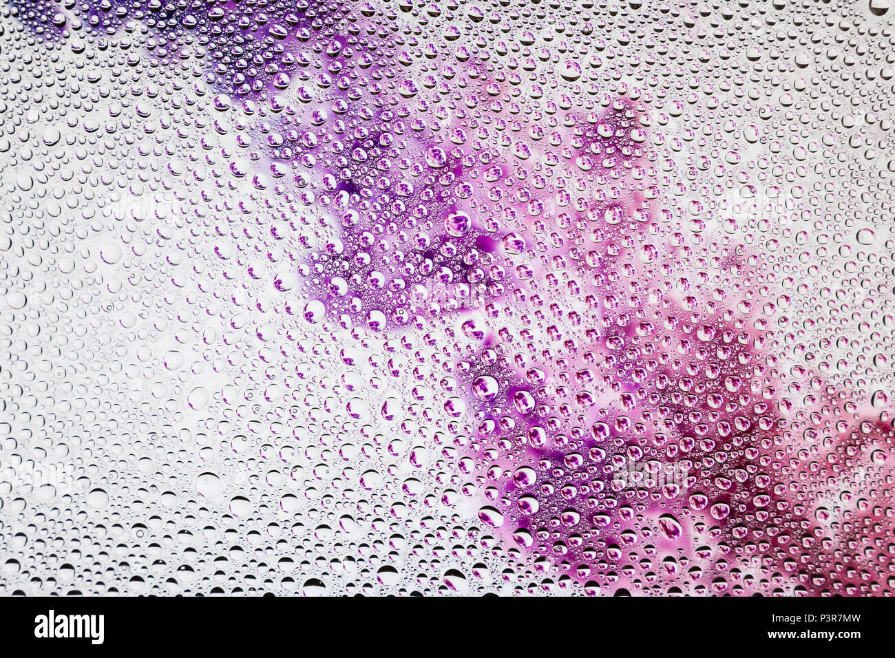 Close-up of a drop of water against a purple, pink and red smoke on ...