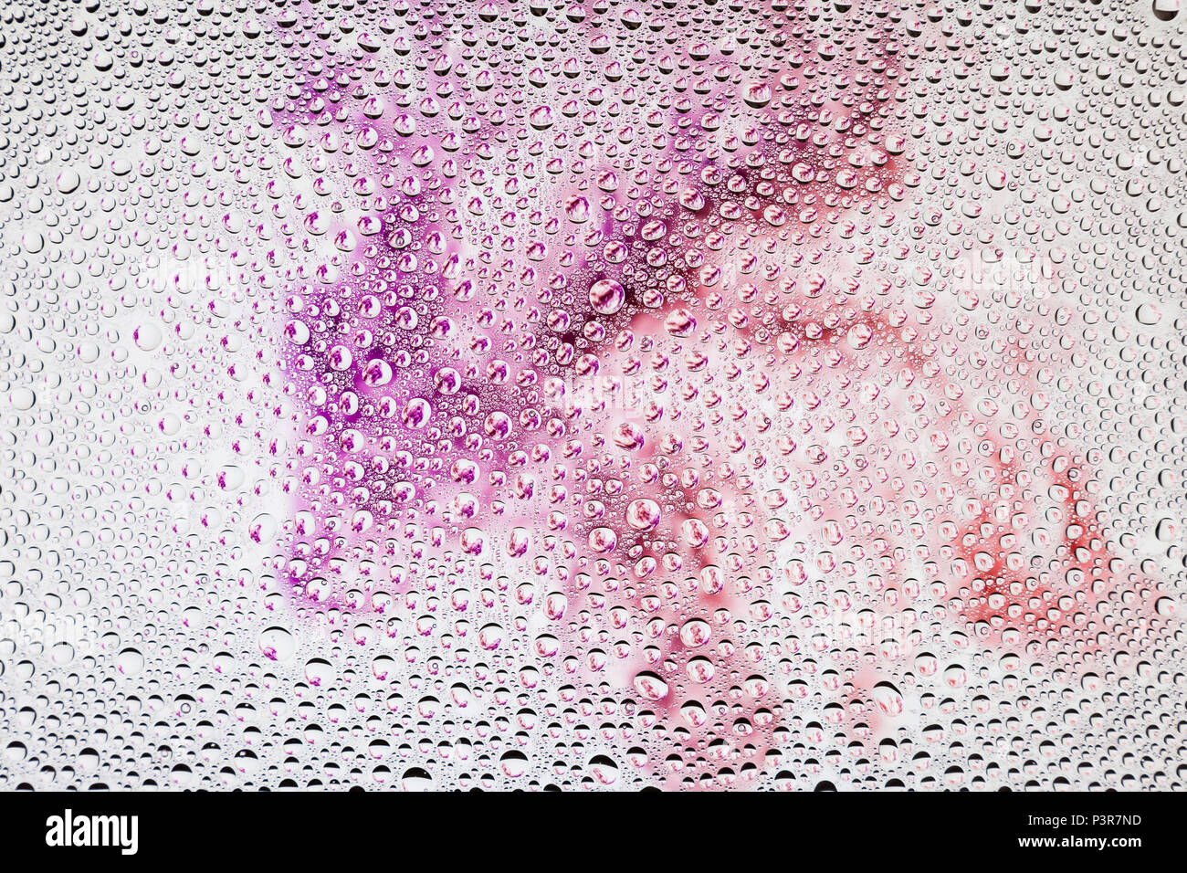 Watercolor gradient transition hi-res stock photography and images - Alamy