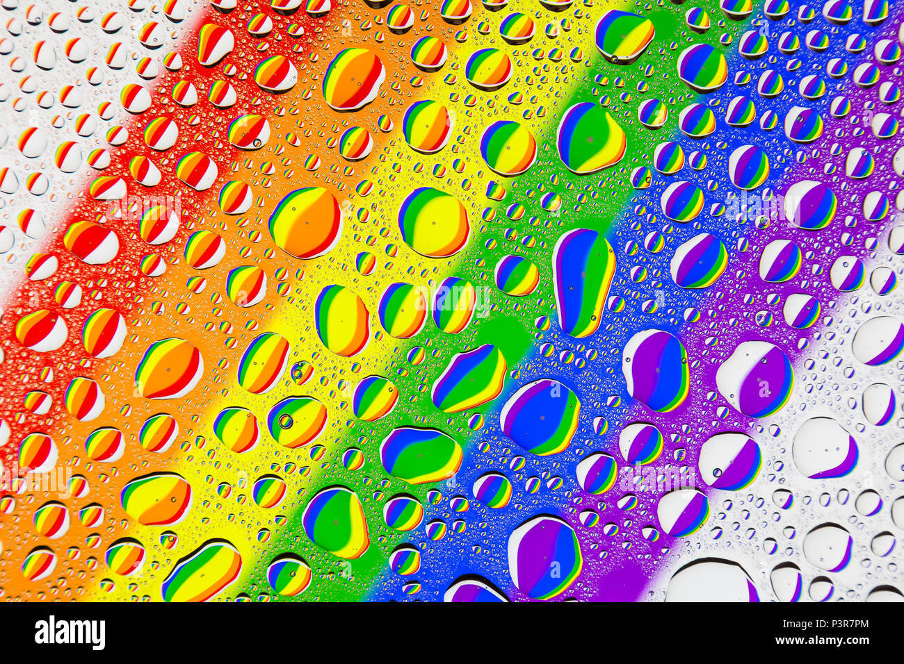 Close up of a water drops on a multicolored rainbow gradient background ...