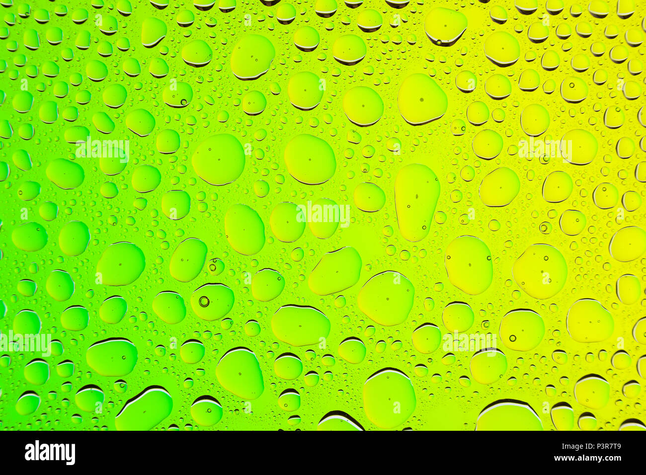 Close up of a water drops on a green and blue gradient background ...