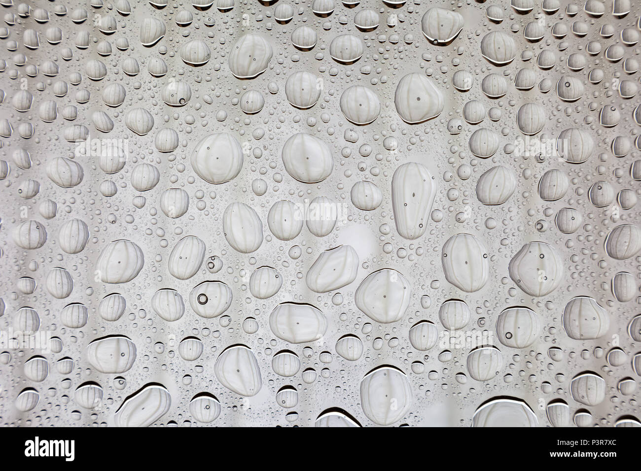 Close up of a water drops on a on a white stripe background, covered ...