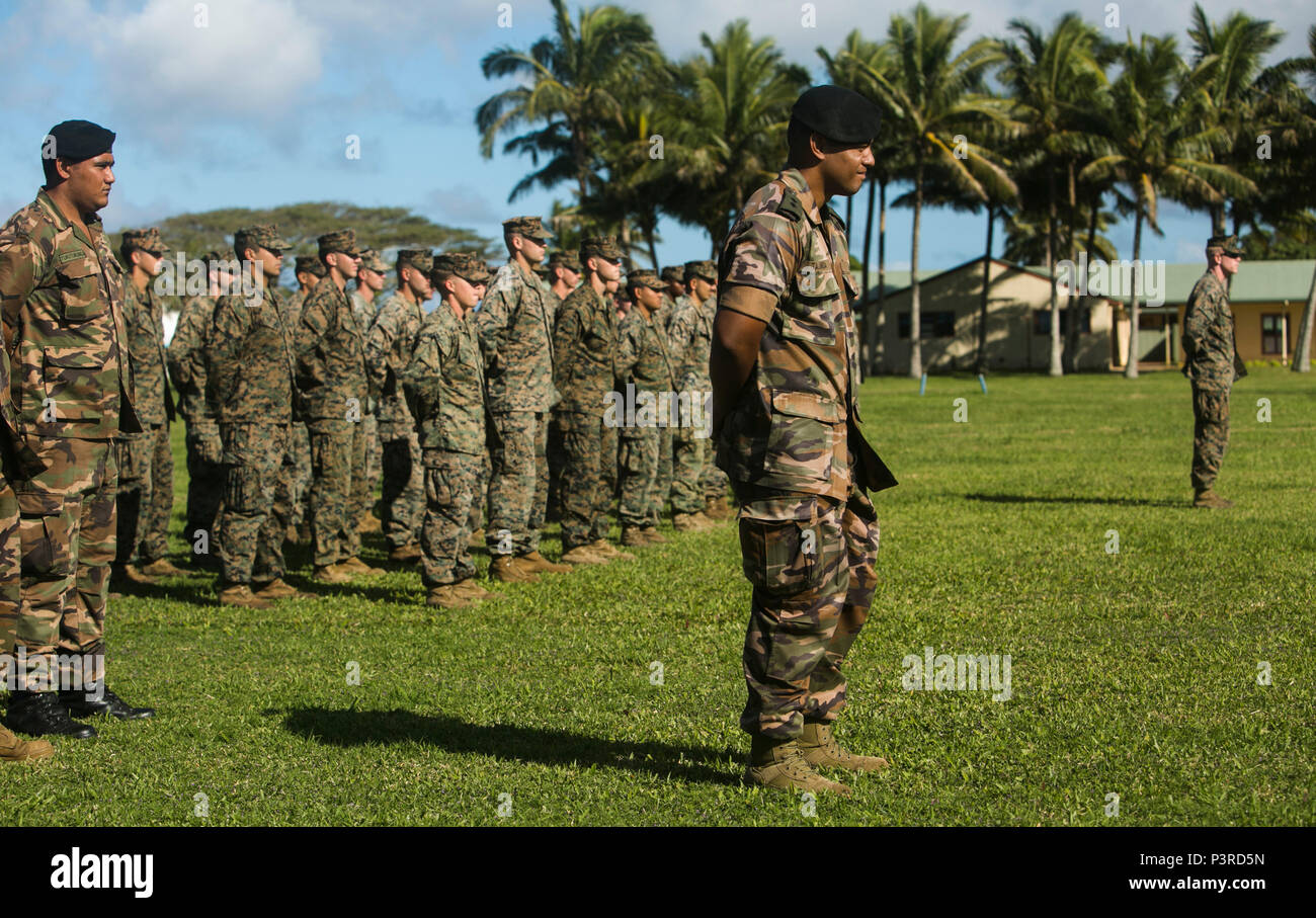 Talai High Resolution Stock Photography and Images - Alamy