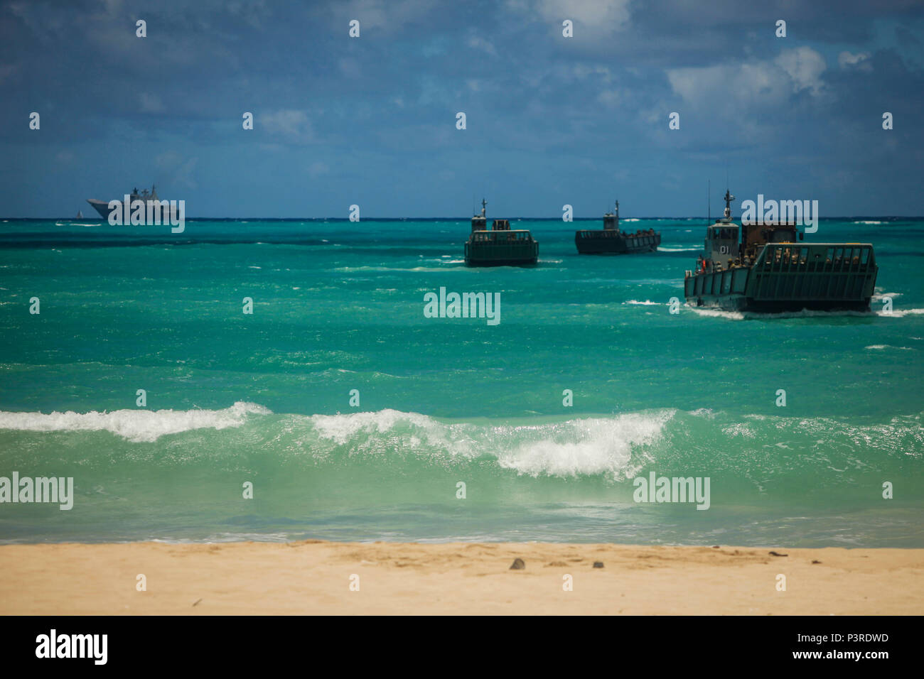 Royal tongan marine hi-res stock photography and images - Alamy