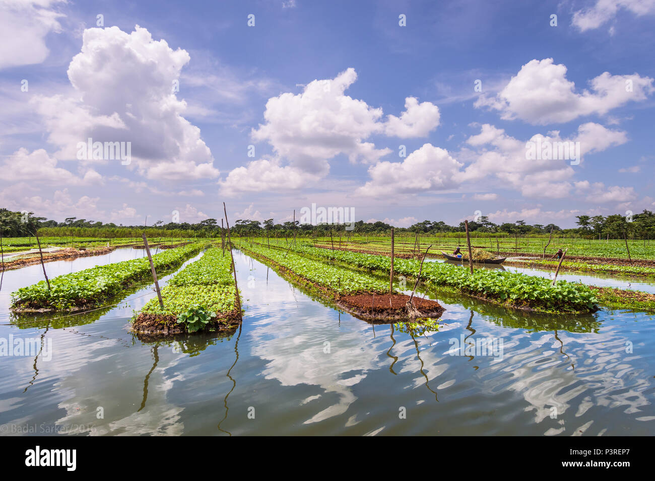 Agriculture heritage hi-res stock photography and images - Alamy