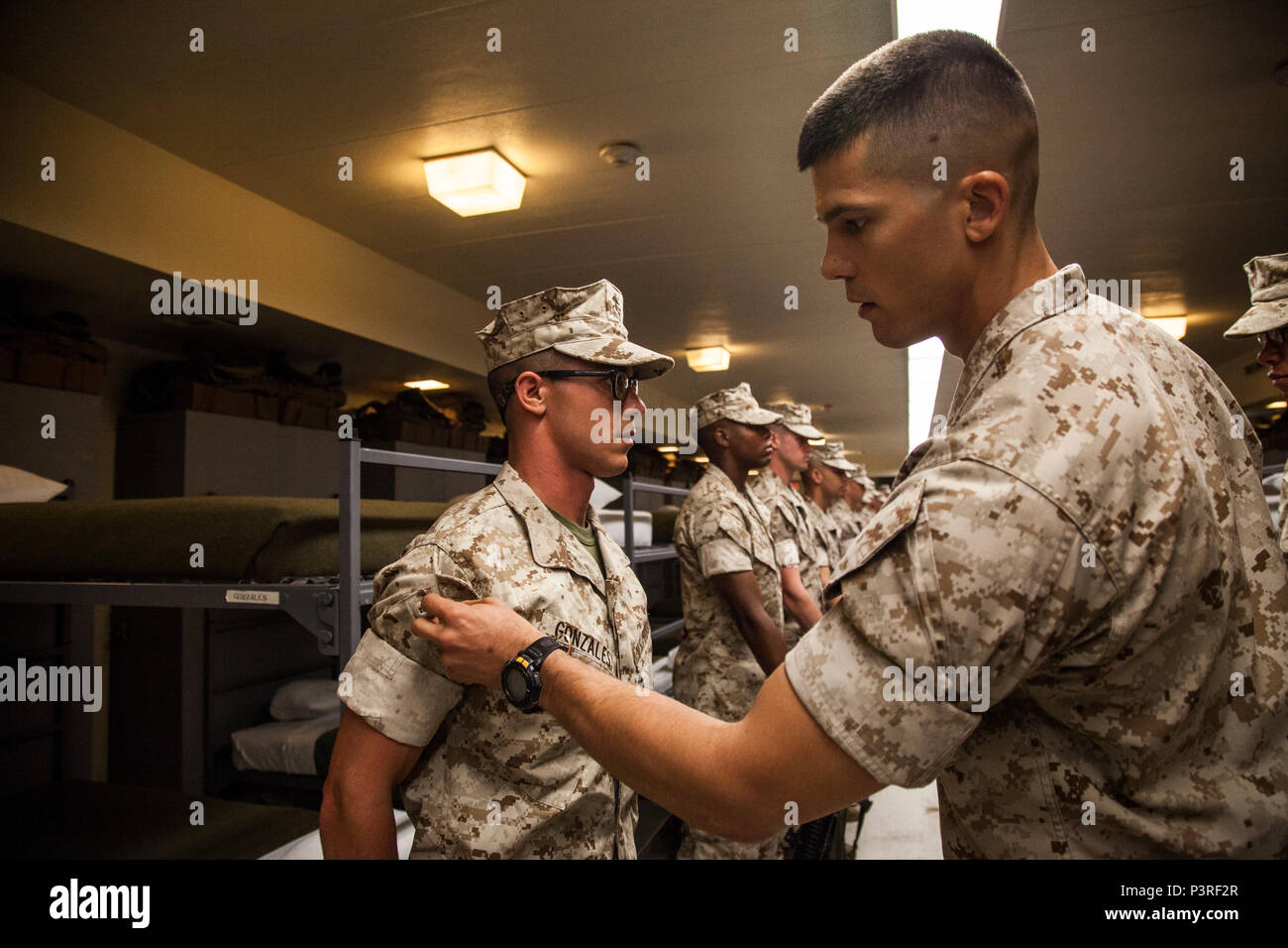 Platoon commanders inspection hi-res stock photography and images - Alamy