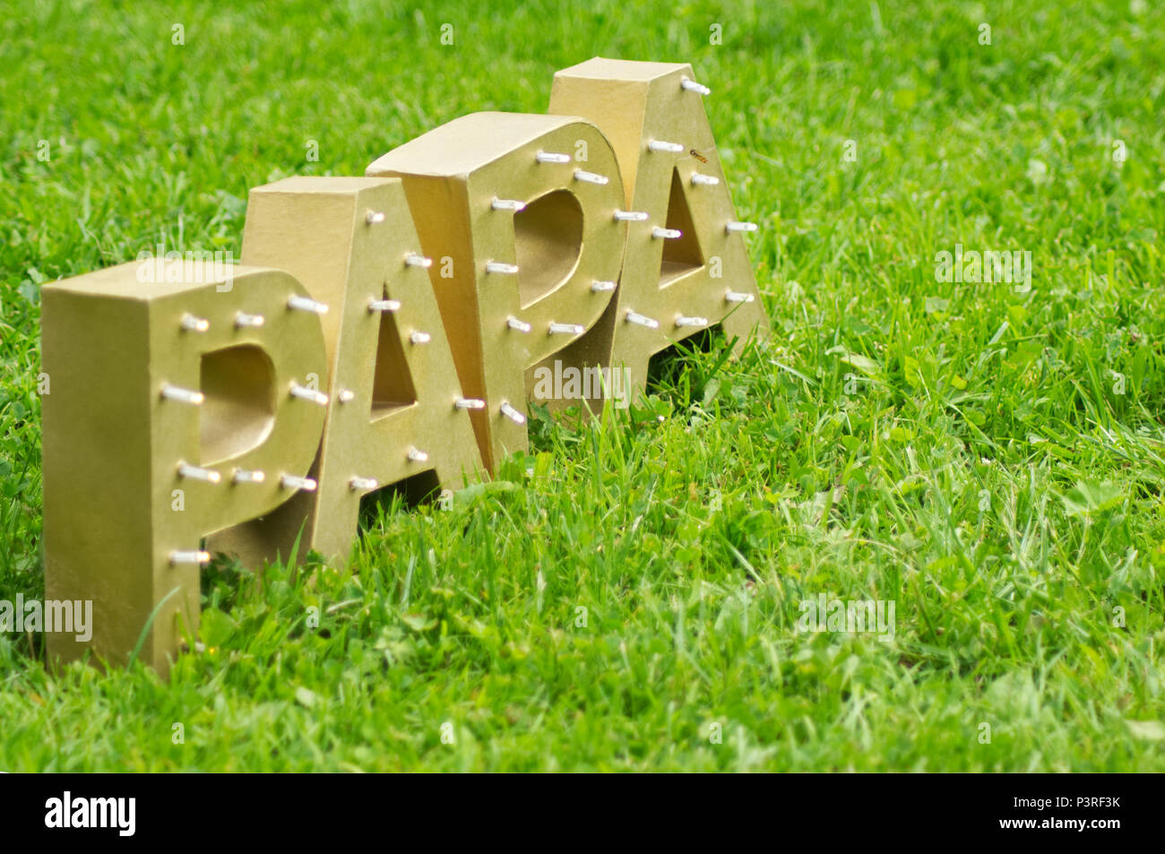 The word PAPA spelt out with large golden block letters. Shot horizontally against a green ...