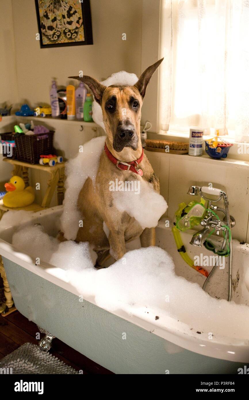 Original Film Title: MARMADUKE. English Title: MARMADUKE. Film Director ...