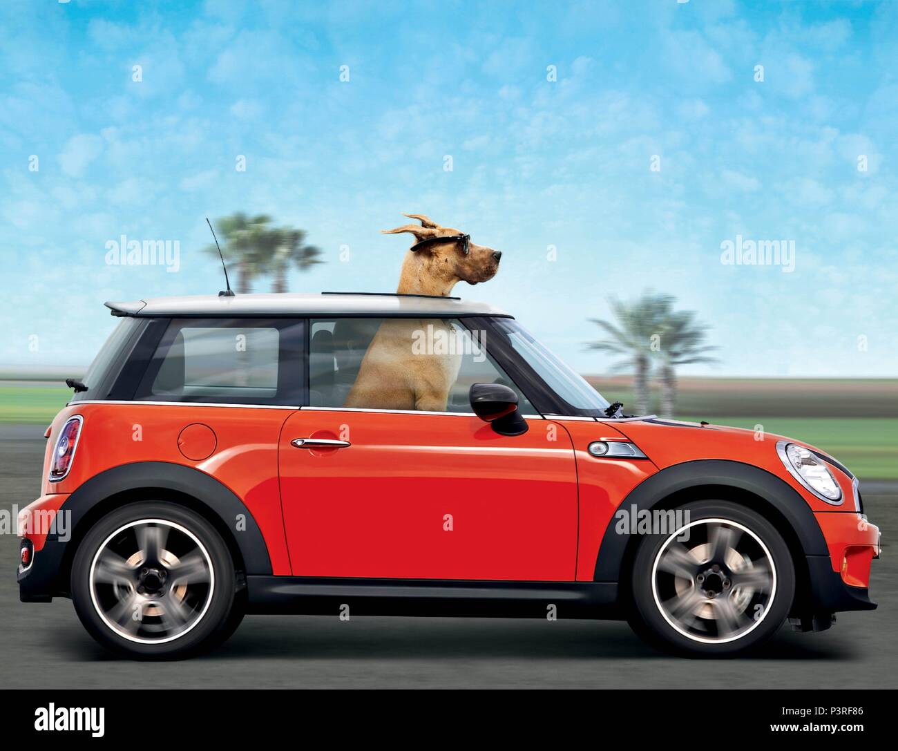 Original Film Title: MARMADUKE. English Title: MARMADUKE. Film Director ...