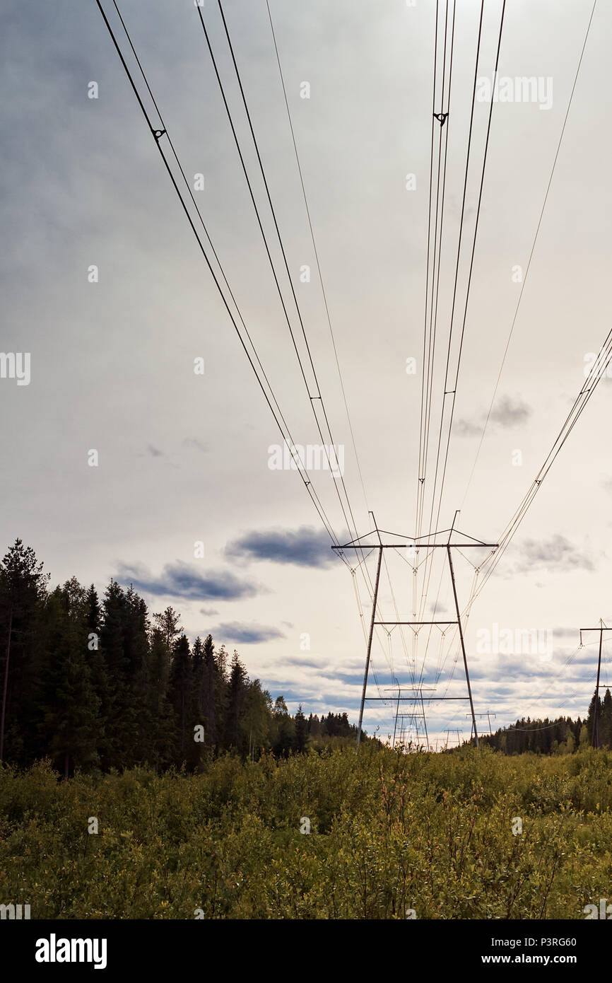 The massive power line pylons rise above the fields of the Northern ...