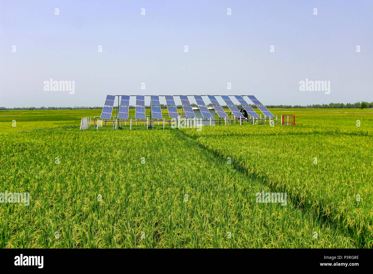 Digital agriculture hi-res stock photography and images - Alamy