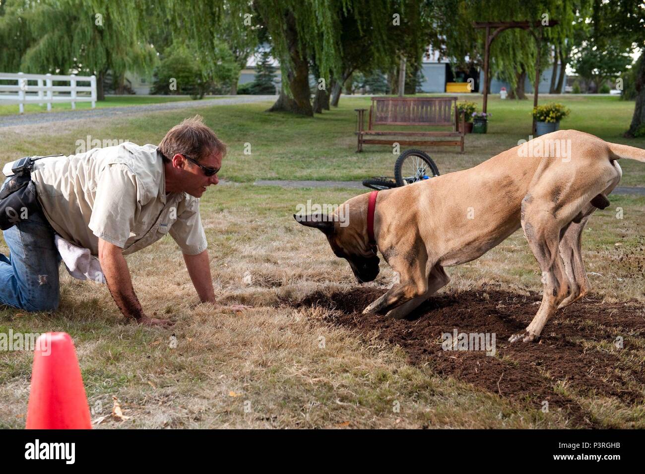 Original Film Title: MARMADUKE. English Title: MARMADUKE. Film Director ...