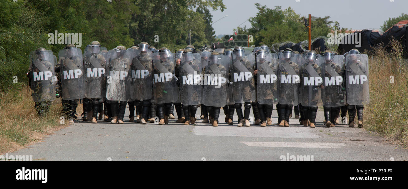 Polish soldiers, assigned to Multinational Battle Group-East, march ...