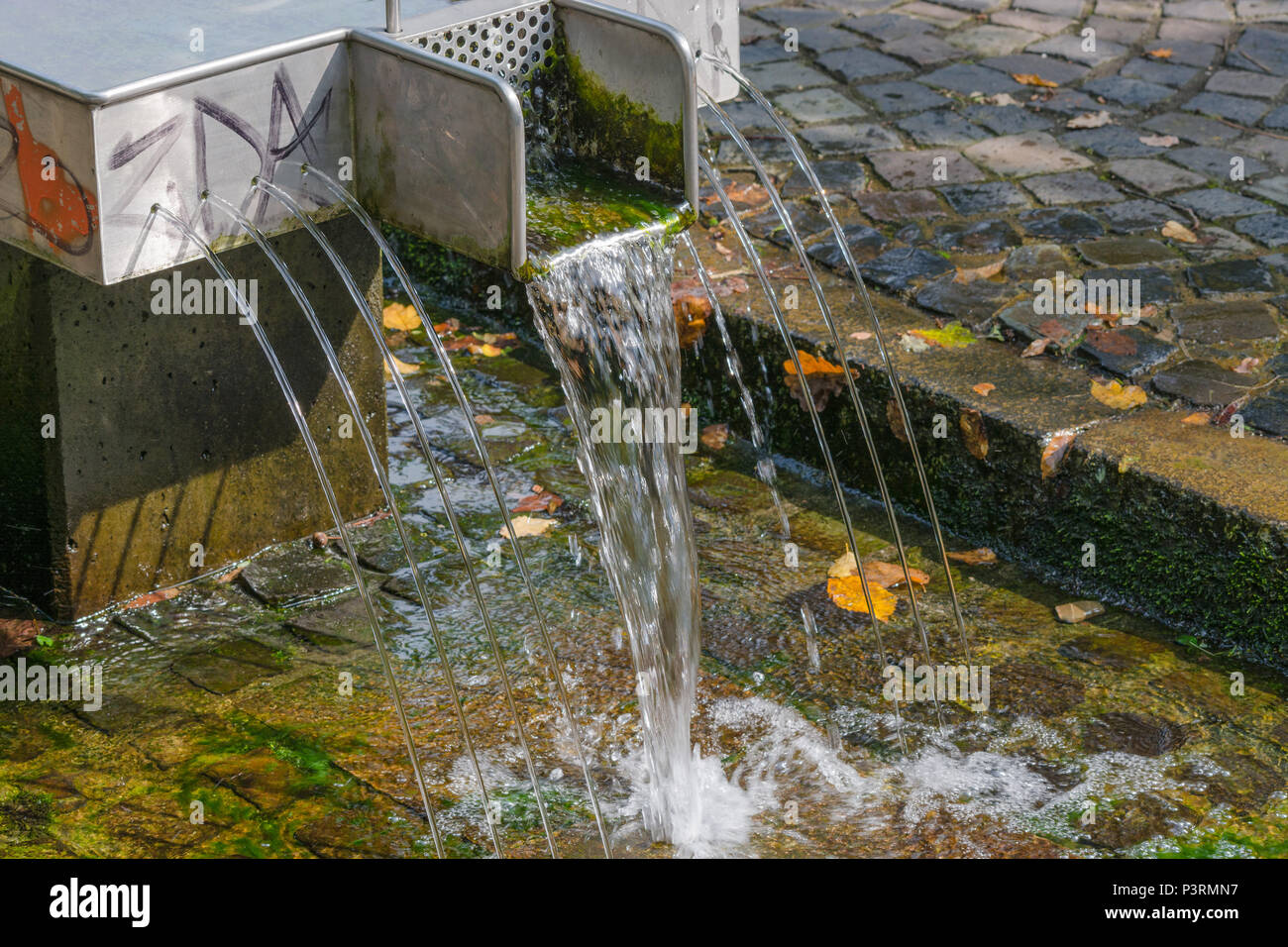 Small stream and source of a river Stock Photo - Alamy