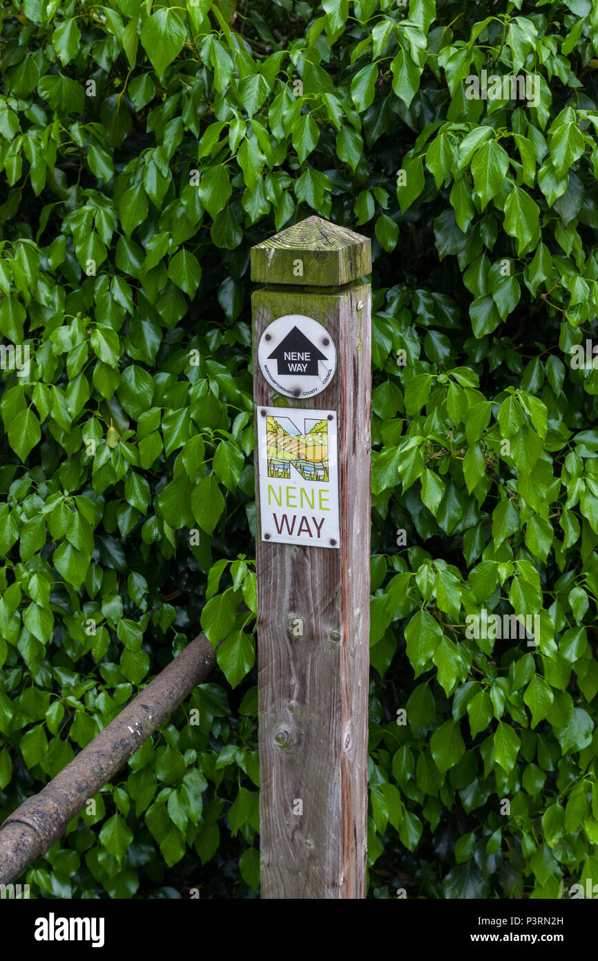Following river nene hi-res stock photography and images - Alamy