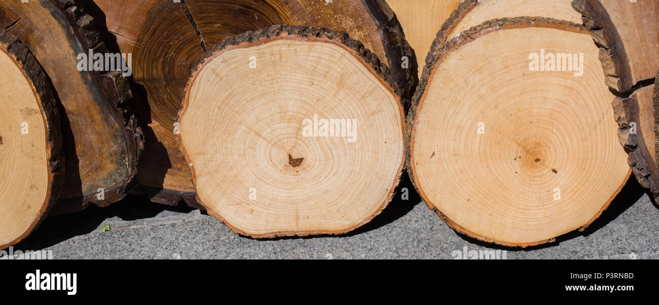 small piece of cut wood logs used for wood texture background Stock ...
