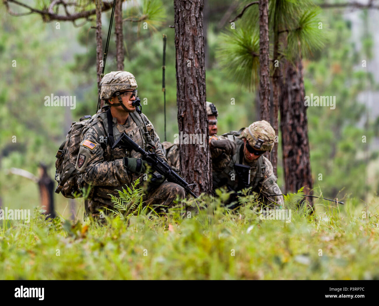 New York Army National Guard infantrymen assigned to Co. C, 1st ...