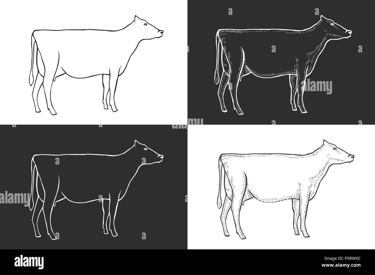 Engrave cow hi-res stock photography and images - Alamy