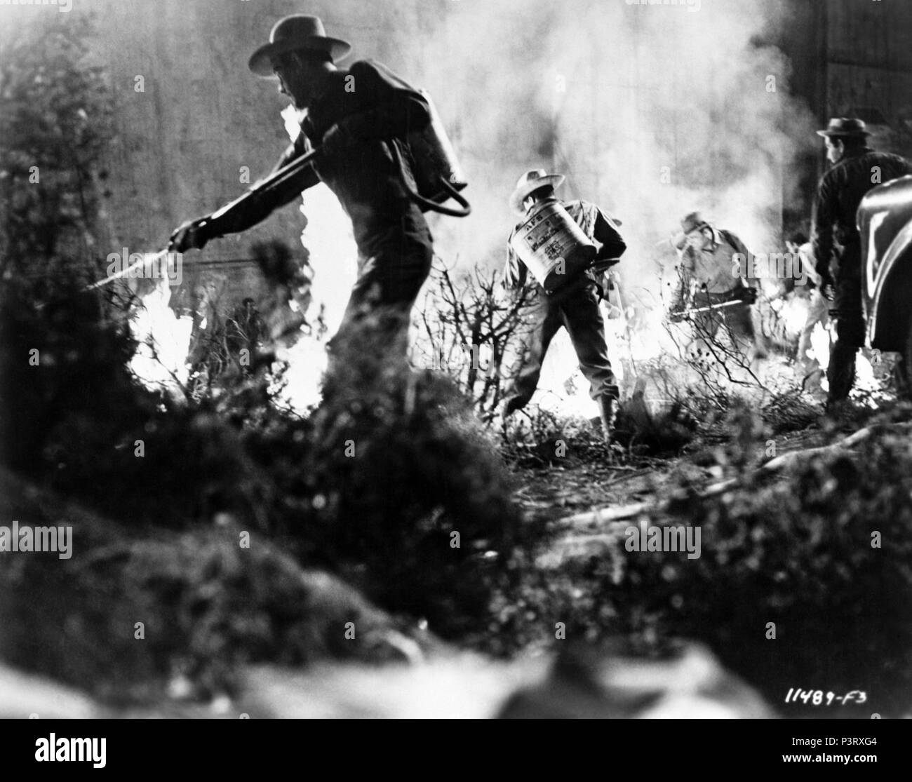 Original Film Title: THE WAR OF THE WORLDS. English Title: THE WAR OF ...