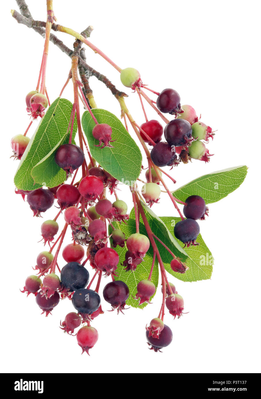 Abctract hi-res stock photography and images - Alamy