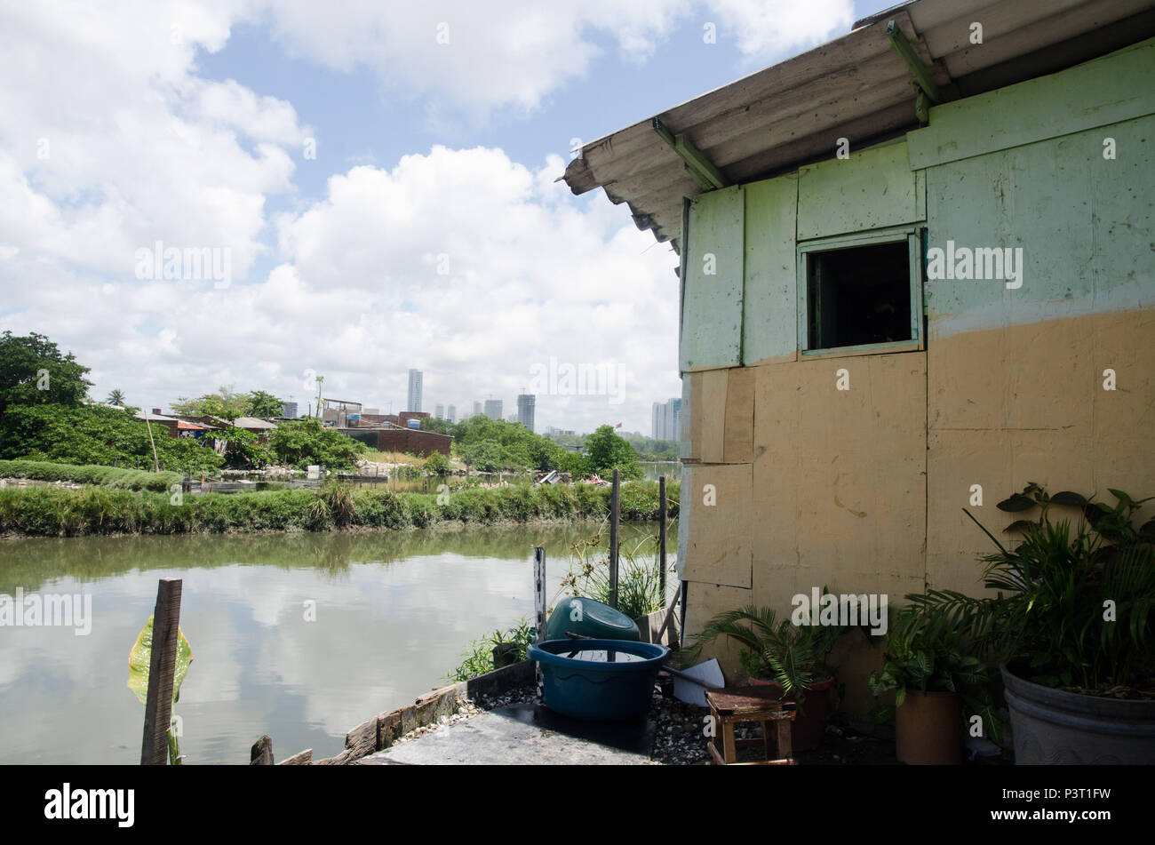 RECIFE, PE - 21.10.2015: FAVELA DO BUEIRO NO RECIFE - Casa de madeira ...