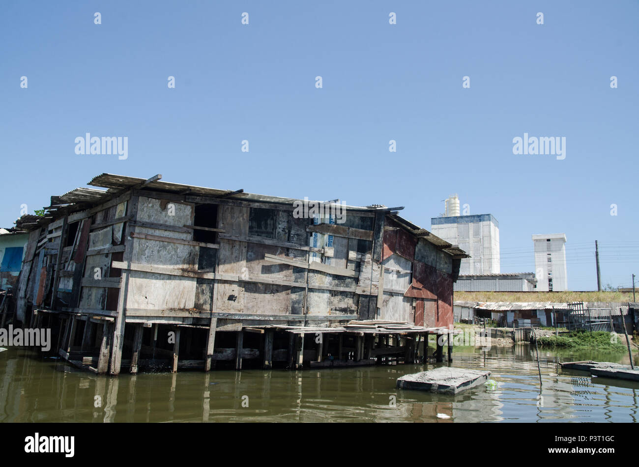 RECIFE, PE - 22.10.2015: FAVELA DO BUEIRO NO RECIFE - Palafitas ou ...