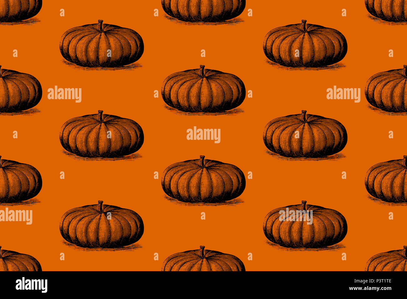 Pumpkin pattern on an orange background. Pumpkin patch. Wrapping paper ...