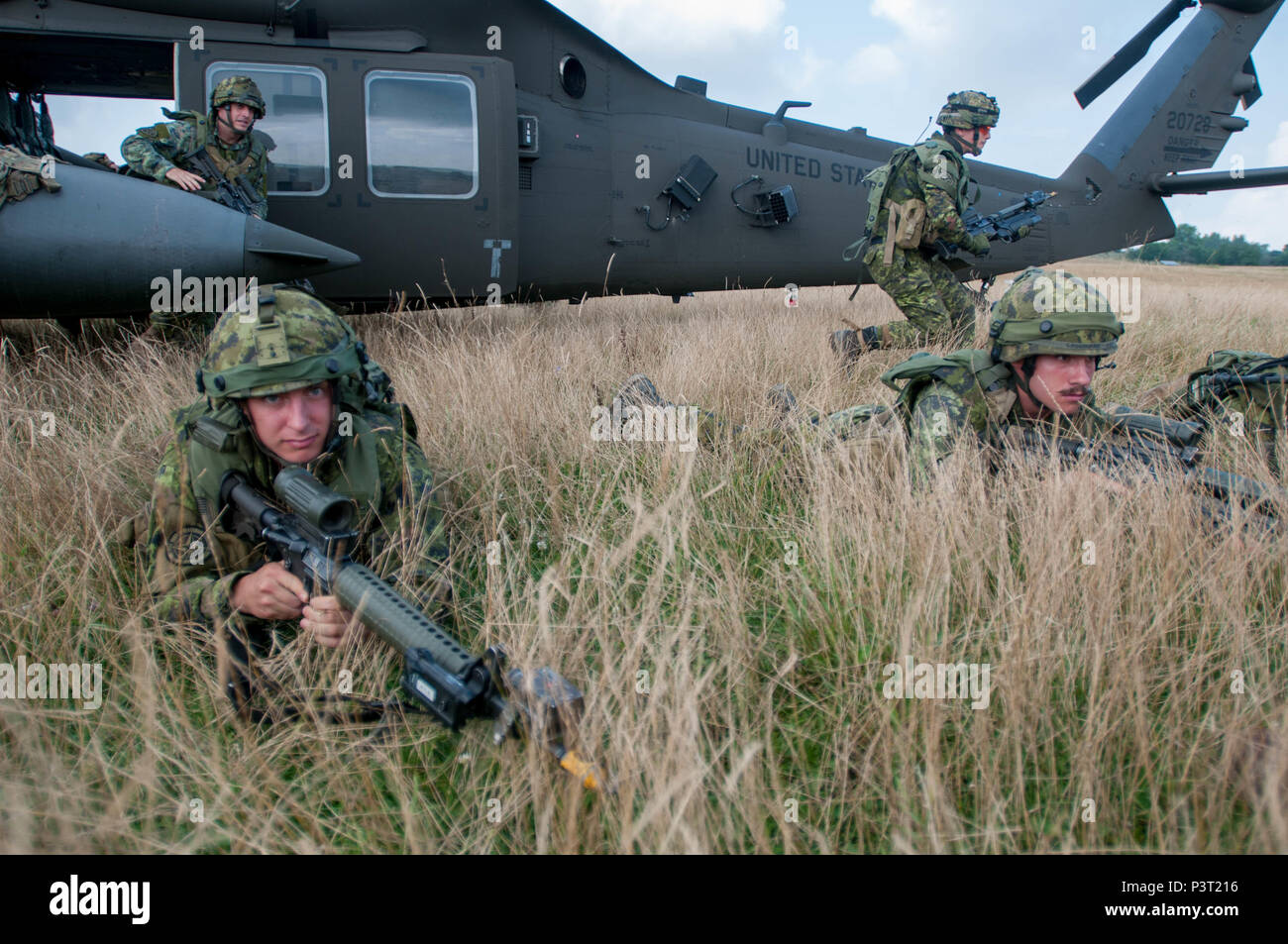 116th canadian infantry hi-res stock photography and images - Alamy