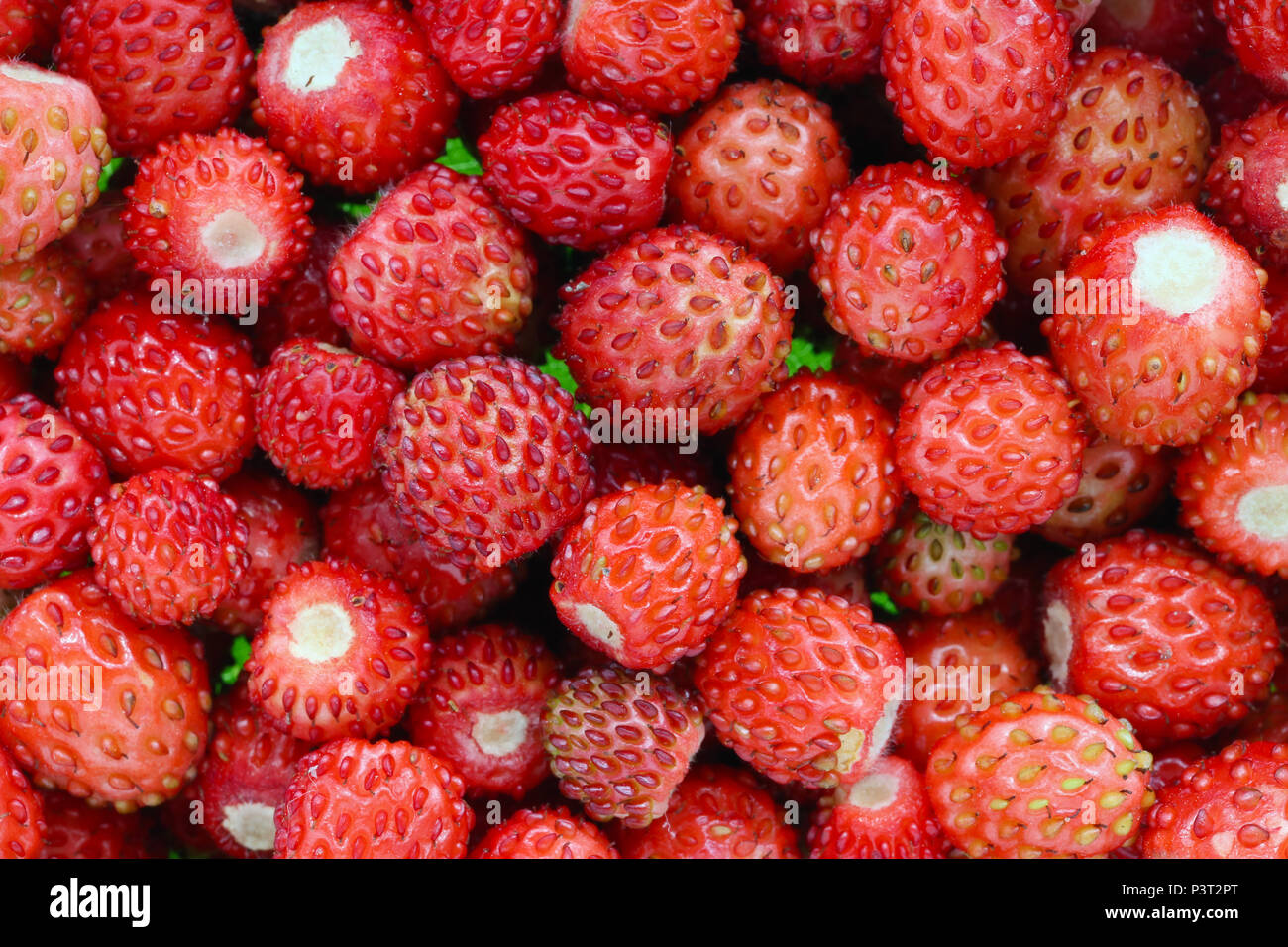 Real wild fruit hi-res stock photography and images - Alamy