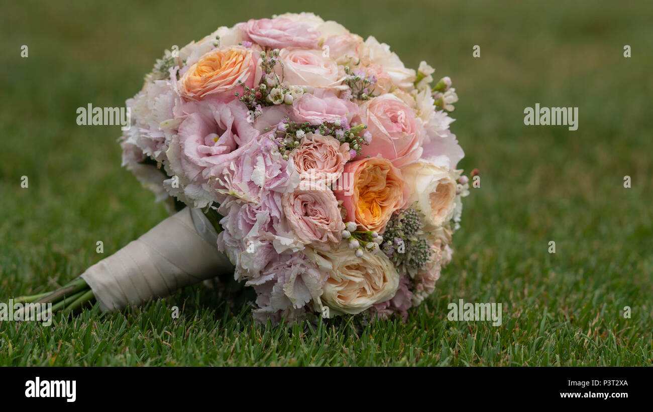 One big flower rose yellow hi-res stock photography and images - Alamy