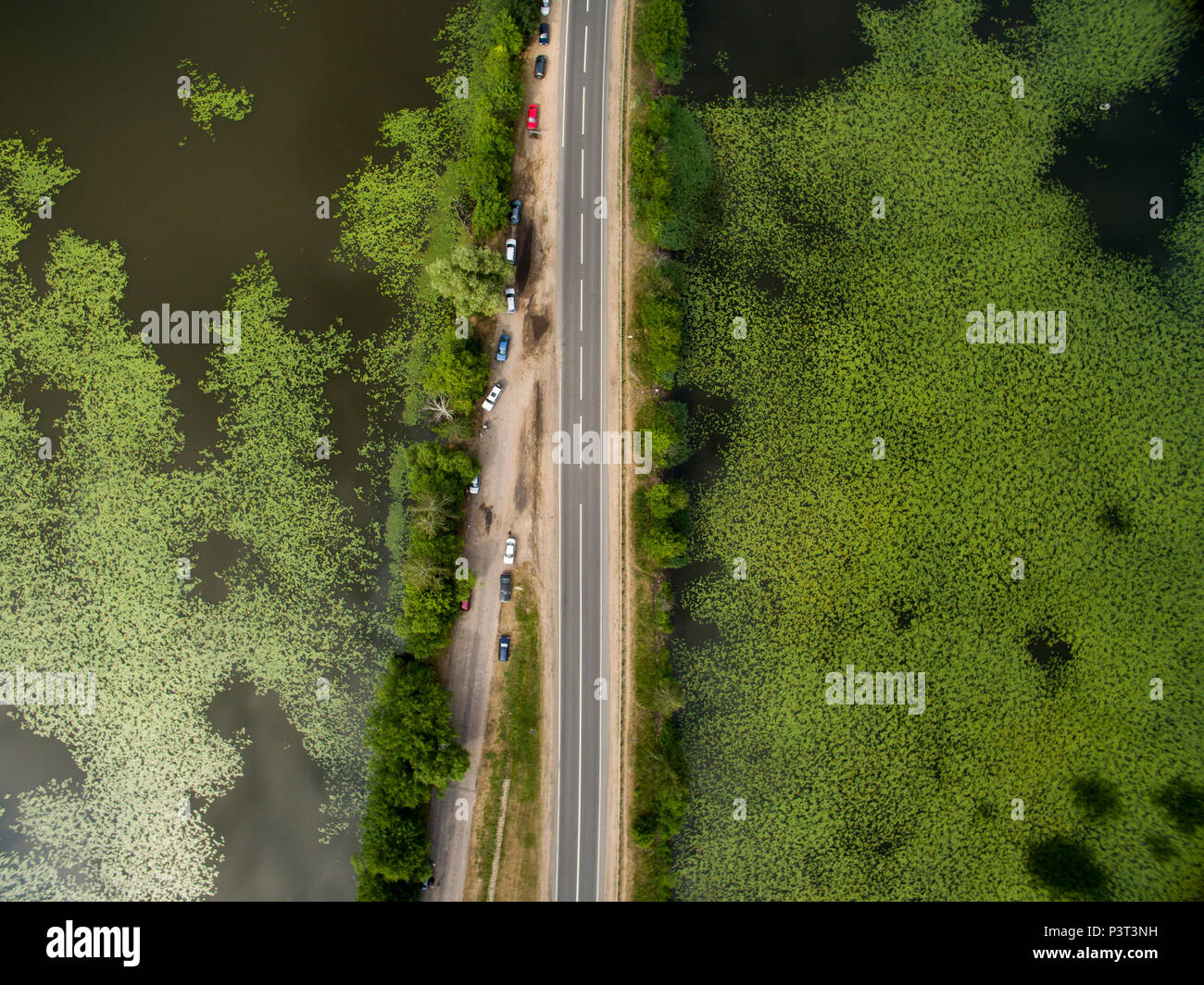 Landscape of an asphalt road. View from above on the road going along ...