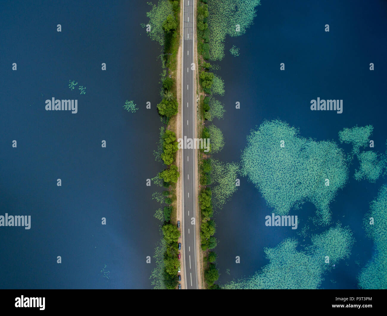 Landscape of an asphalt road. View from above on the road going along ...