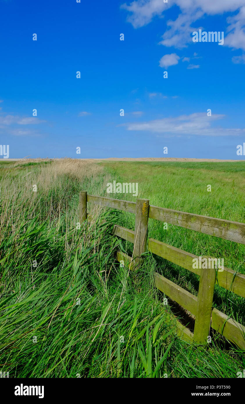 Norfolk england uk salt marshes norfolk salt marshes north norfolk hi ...