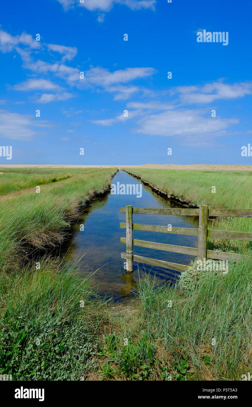 Salt marshes norfolk hi-res stock photography and images - Alamy
