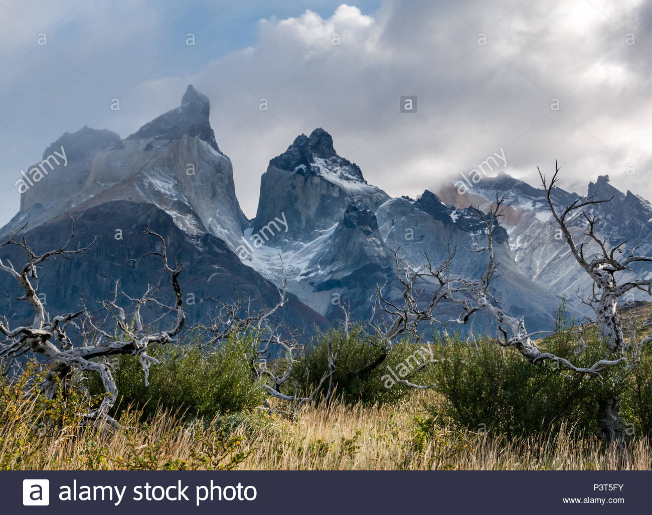Fire Lookout Tree Stock Photos & Fire Lookout Tree Stock Images - Alamy