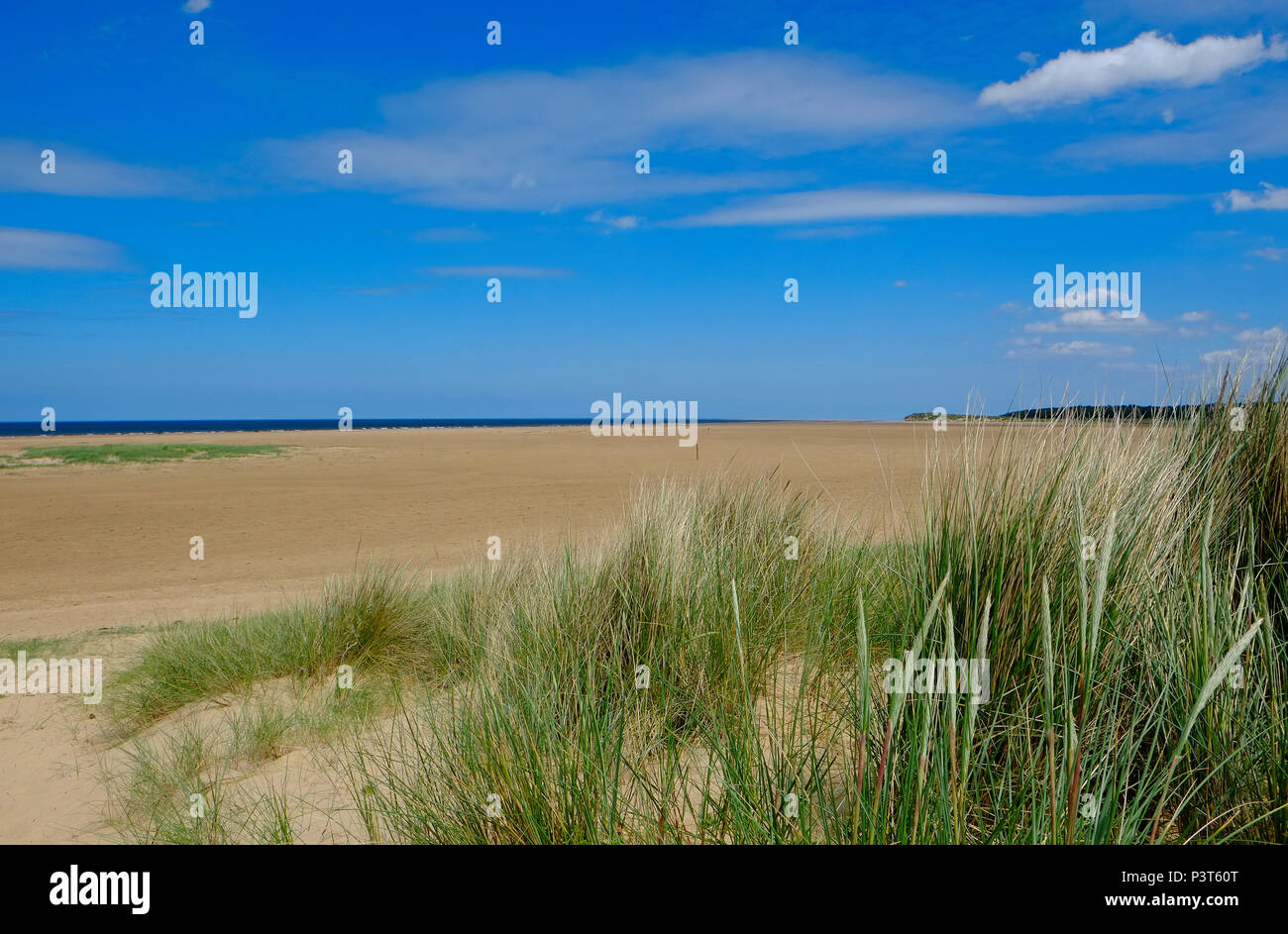 Holkham Beach Summer High Resolution Stock Photography and Images - Alamy