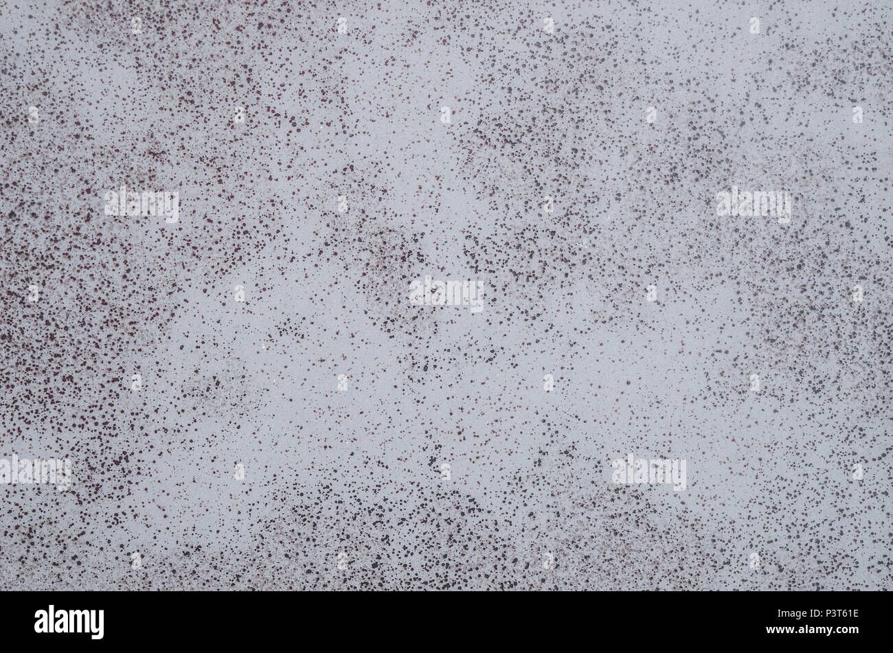 White wall texture with black dot hi-res stock photography and images ...