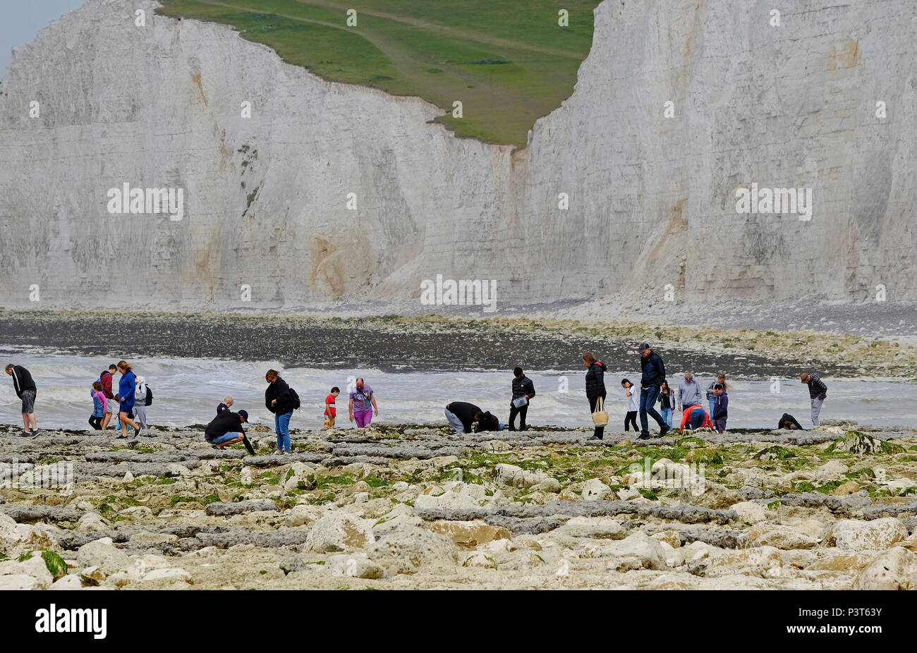 seven sisters chalk cliffs, east sussex, england Stock Photo - Alamy