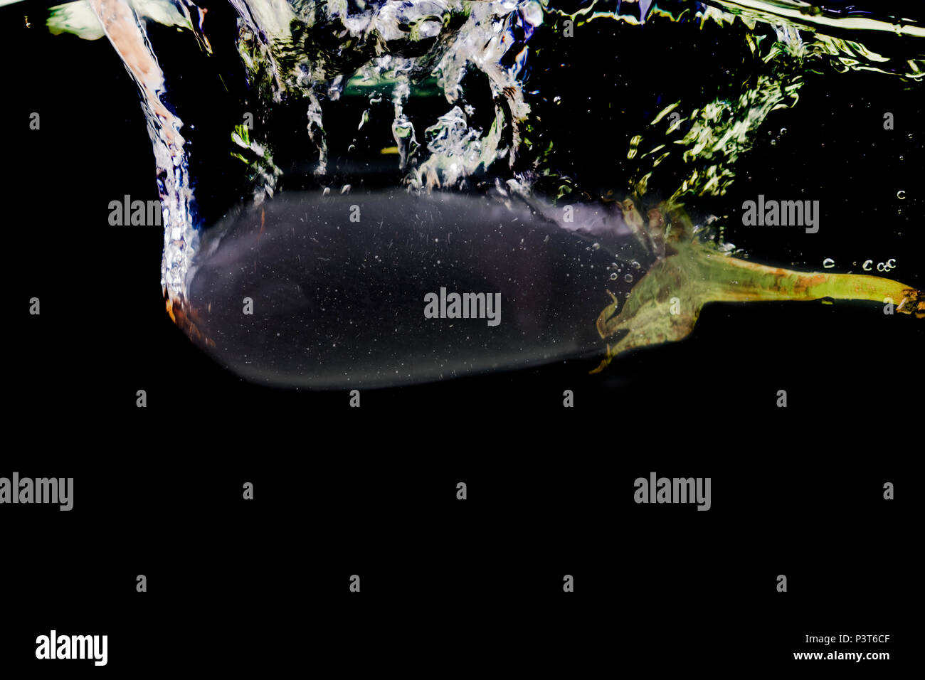 Vegetables (eggplant) Solanum melongena fall into the water. Splash of ...