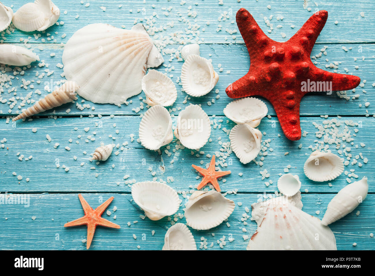 Summer sea background - shells and star Stock Photo - Alamy