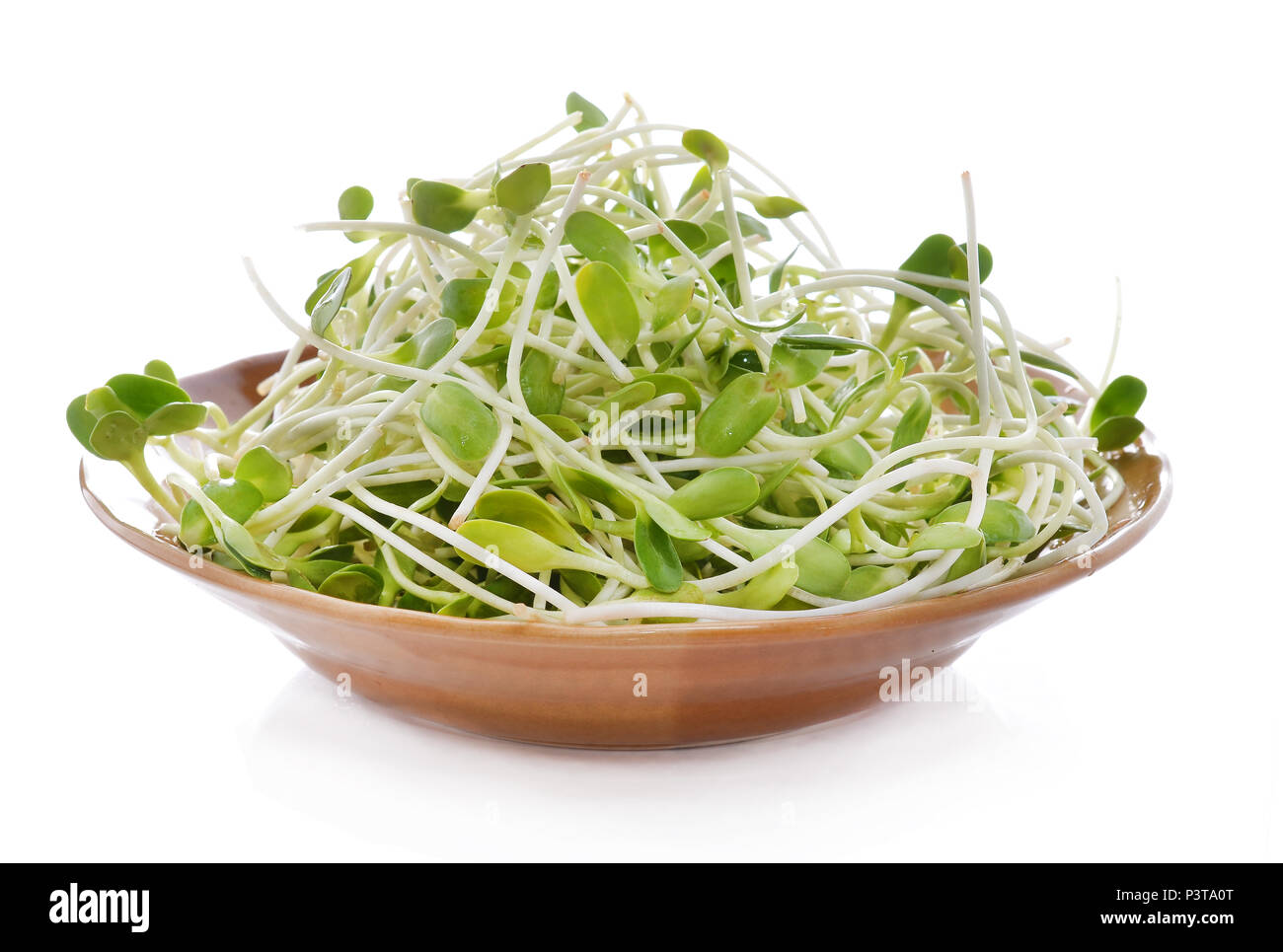 green young sunflower sprouts in the bowl isolated on white background ...